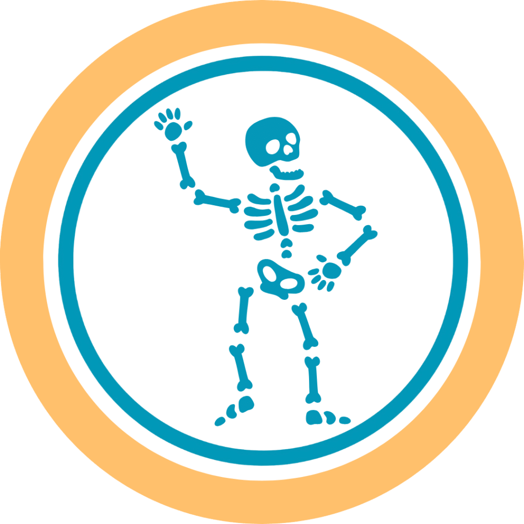 REMS SW Calendar - REMS SW | Echolight REMS Bone Scans